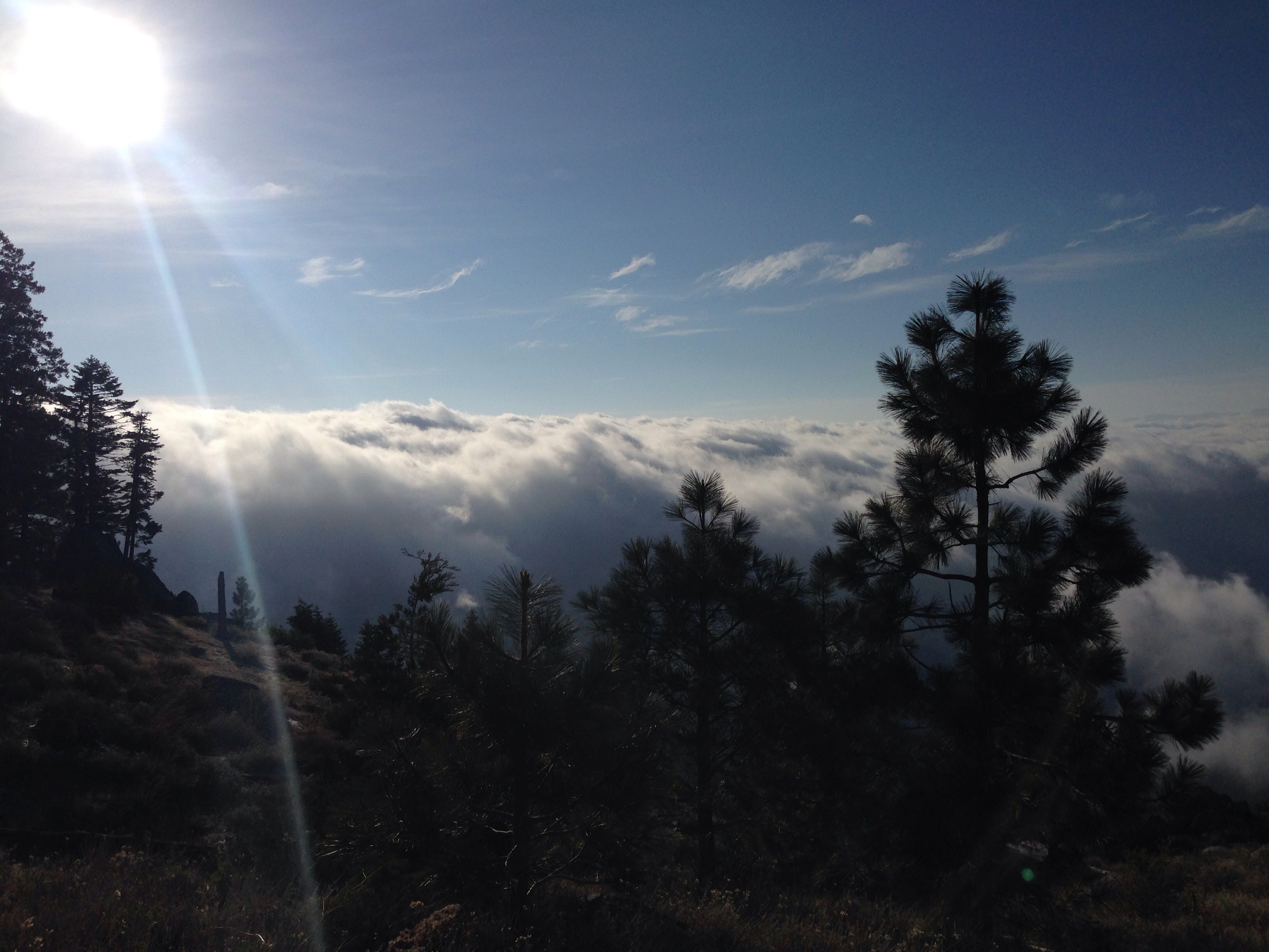 Day 12 Adventures in Snowcal – Adventures in Natureculture